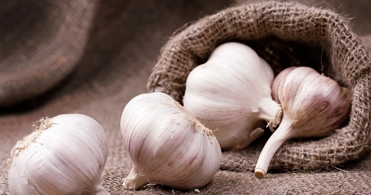 Descubra siete asombrosos beneficios para la salud de comer ajo ... Descubra siete asombrosos beneficios para la salud de comer ajo ...