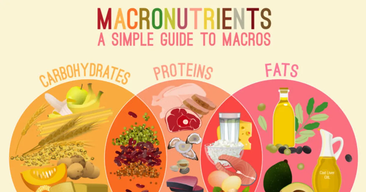 A Guide to Mastering Your Macros - ActiveBeat - Your Daily Dose of ...