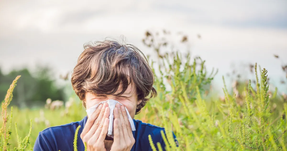 Most Common Allergies in Adults - Page 2 of 10 - ActiveBeat - Your ...